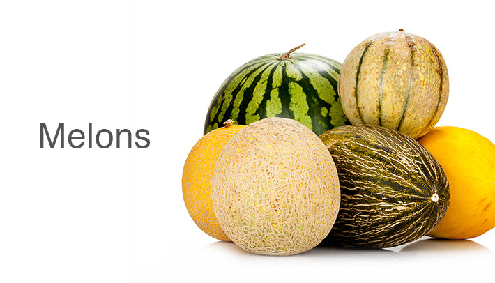 All Our products– Sharbatly.Club