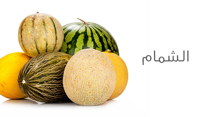 Tropicals | Sharbatly.Club