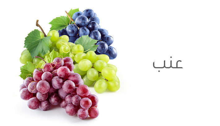 جميع منتجاتنا | Sharbatly.Club