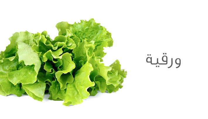 Fresh Vegetables | Sharbatly.Club