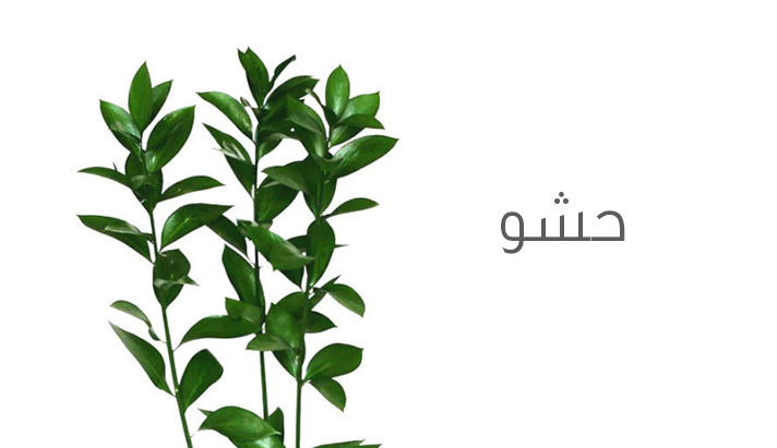 Sharbatly Club– Sharbatly.Club