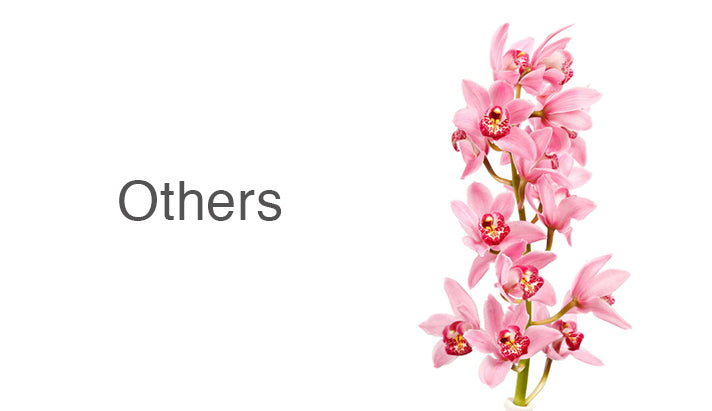 Fresh Fruit | Sharbatly.Club