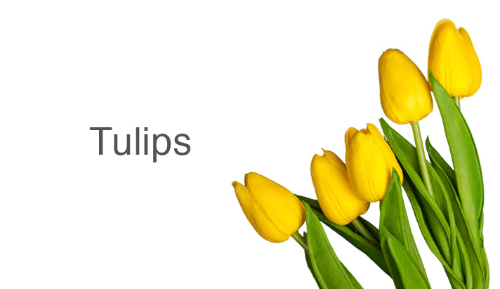 All Our products– Sharbatly.Club