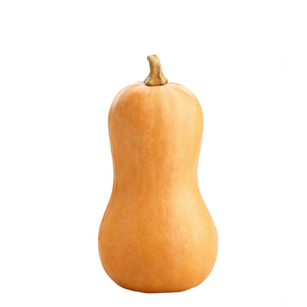 Butternut Squash, Single Piece | Sharbatly.Club
