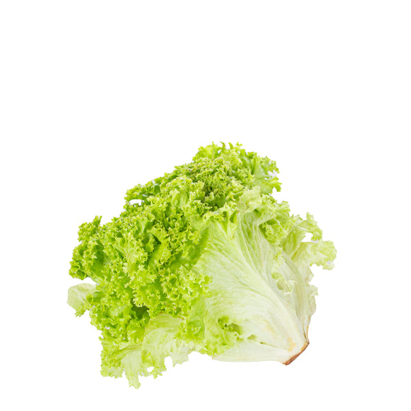 Lettuce, Lollo Biondo, single piece | Sharbatly.Club