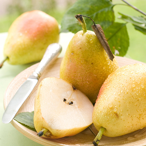 Pears, Ercolini, 1 kg Pack | Sharbatly.Club