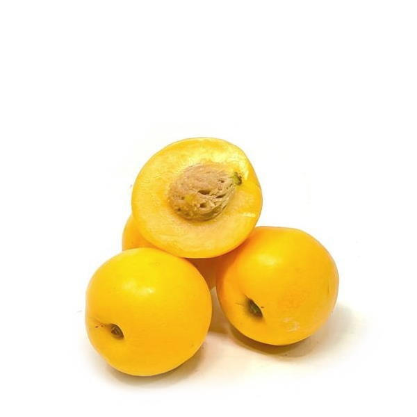 Nectarcot, 0.5 kg pack | Sharbatly.Club