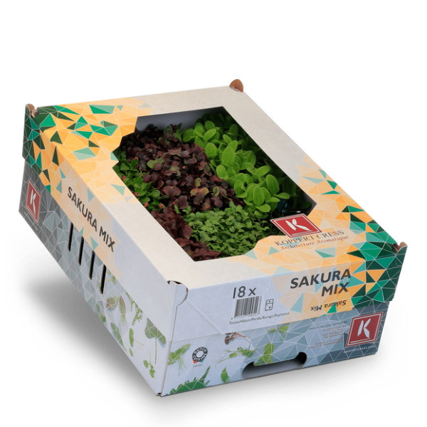 Cress, Sakura MIX *Gourmet* x18 pieces | Sharbatly.Club